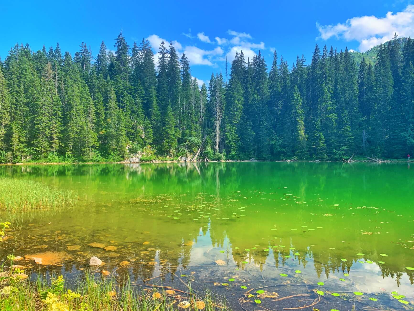 The perfect 3 days in Durmitor National Park, Montenegro - Hopping Feet