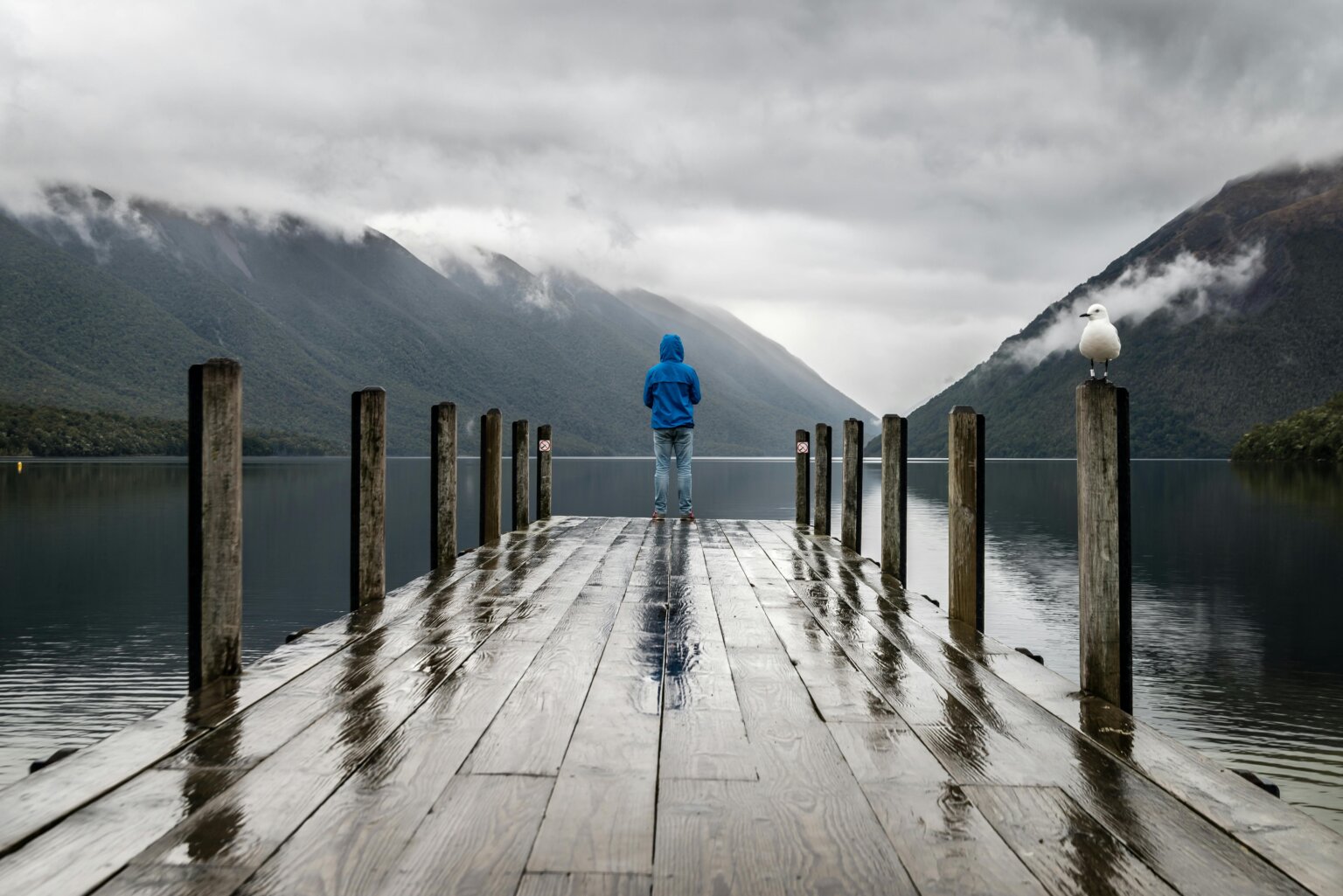 Rainy Day Adventures: How to Make the Most of Your Rainy Season Road ...